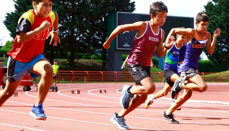 La Escuela Municipal de Atletismo competirá en el torneo por el Día de la Mujer - 2262