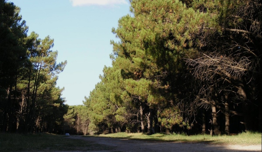 Cinco lugares recomendados para recorrer un domingo en Necochea - 2262